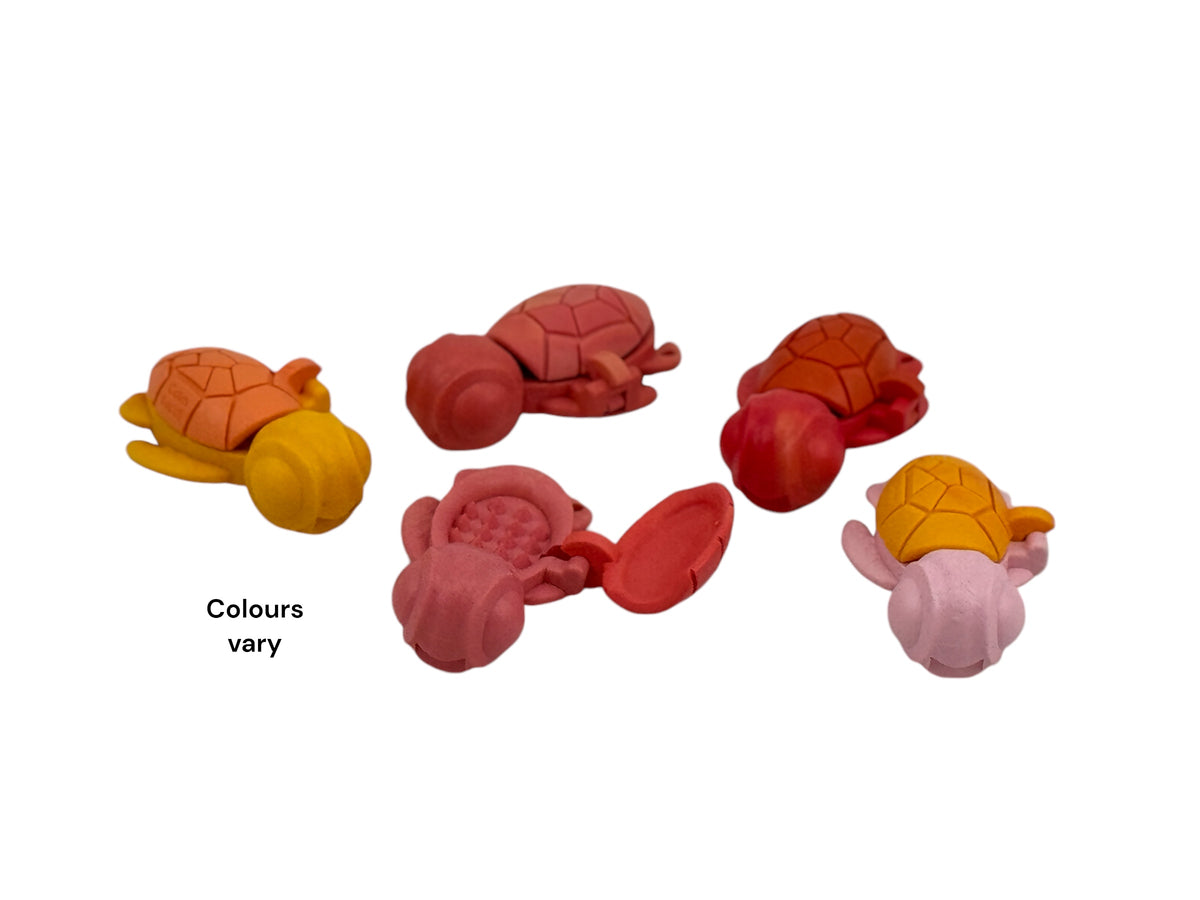 Calm Buddi Turtle | Starfish Store